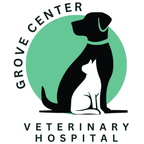 Grove Center Veterinary Hospital | Best Vet in Gaithersburg